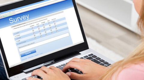 Quantitative Online Survey Research